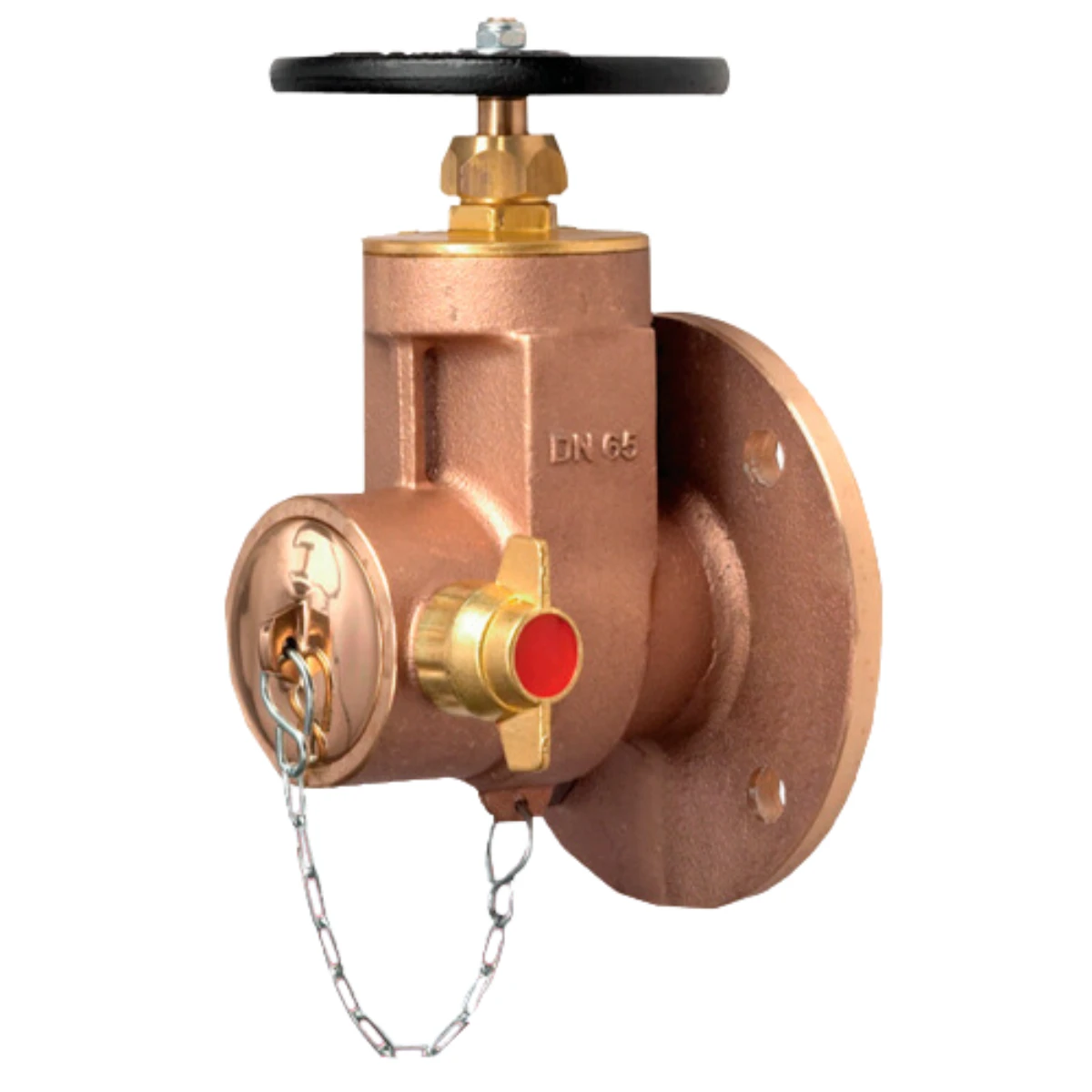 Flanged 65mm NP16 Horizontal Dry Riser Gate Valve